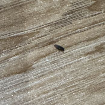 OMOKASE - Updated July 2025 - 1205 Photos & 1146 Reviews - 8220 Haven ...