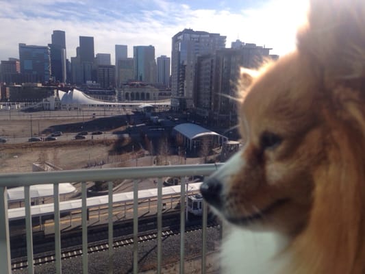 GLASS HOUSE - Updated November 2025 - 12 Reviews - 1700 Bassett St ...