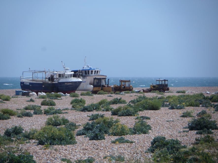 RSPB DUNGENESS - Updated April 2025 - Dungeness Road, Kent, United ...