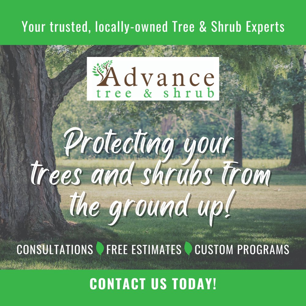 ADVANCE TREE & SHRUB - Updated October 2025 - 34 Photos - 1628 US-1 Alt ...