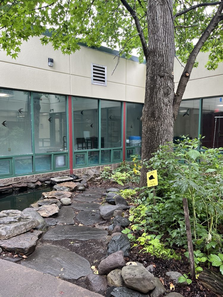 MOUNT RAINIER NATURE CENTER - Updated March 2025 - 14 Photos - 4701 ...