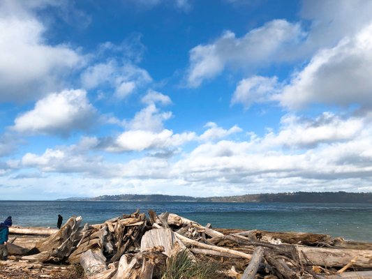 POINT ROBINSON PARK - 150 Photos & 36 Reviews - Parks - 3705 SW Point ...