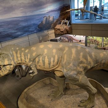 MUSEUM OF SCIENCE - Updated January 2025 - 1576 Photos & 823 Reviews ...