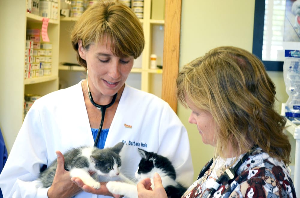 MIDDLETON VETERINARY HOSPITAL - Updated May 2026 - 13 Reviews - 2705 ...