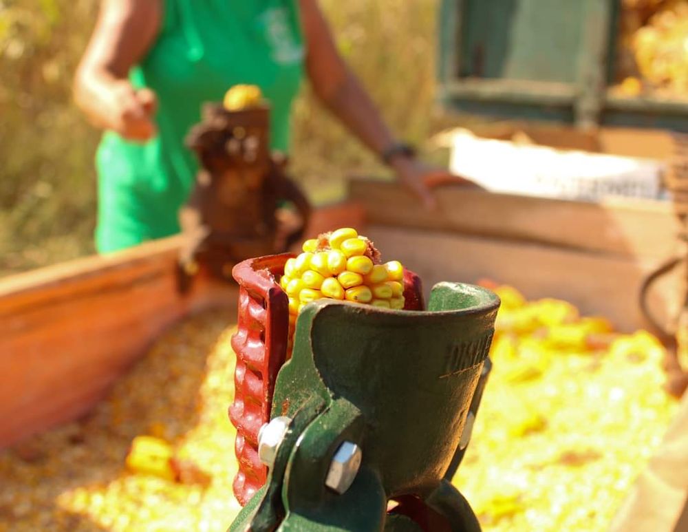 AUSTIN FARMS - Updated May 2024 - Yelp