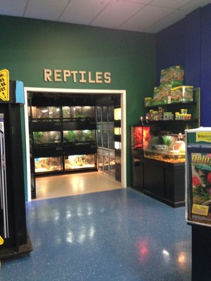 SAFARI PETS - Updated October 2025 - 11 Photos & 18 Reviews - 808 W Main St, Cabot, Arkansas ...