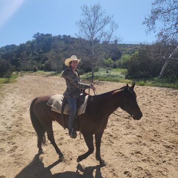 CIRCLE K RIDING STABLES - Updated December 2024 - 192 Photos & 276 ...