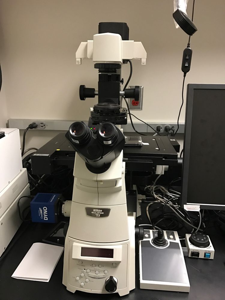 GENEMO - Updated April 2025 - 3210 Merryfield Row, San Diego ...