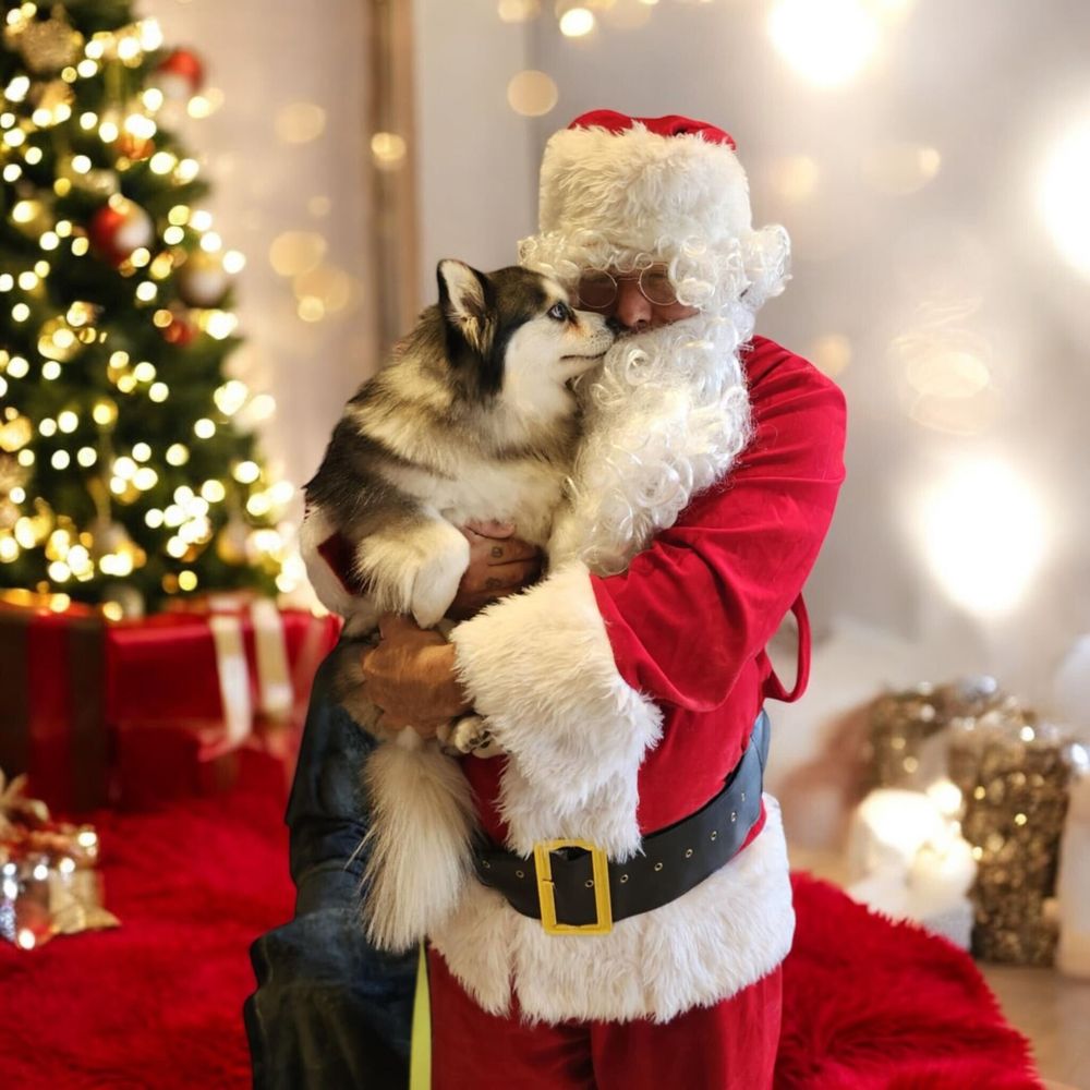 FOUR PAWS INN - Updated July 2025 - 1114 Photos & 228 Reviews - 3500 W ...