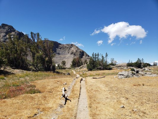 MOKELUMNE WILDERNESS - Updated December 2025 - 30 Photos - Eldorado ...