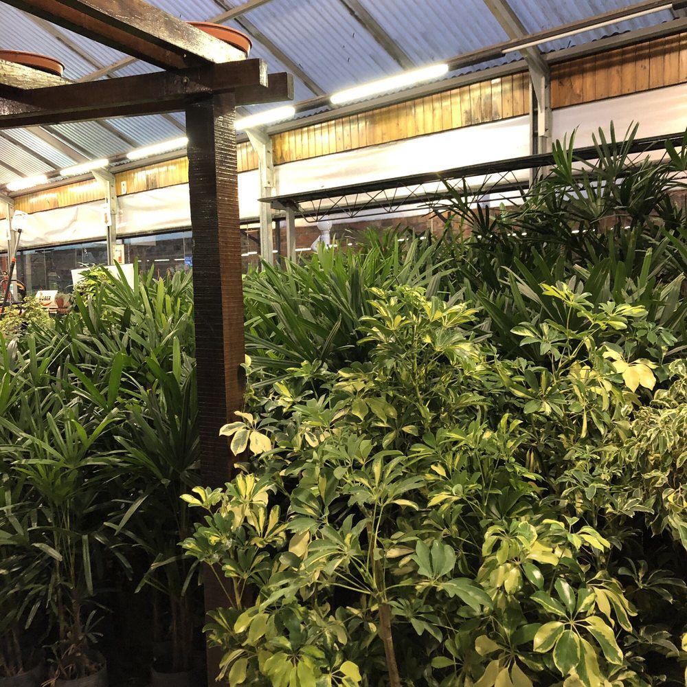 VIVERO MARIO - 30 Photos - Av. Raúl Scalabrini Ortiz 1240, Buenos Aires ...