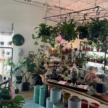 DANDY LION COFFEE - Updated 2024 - 193 Photos & 99 Reviews - 5225 E ...