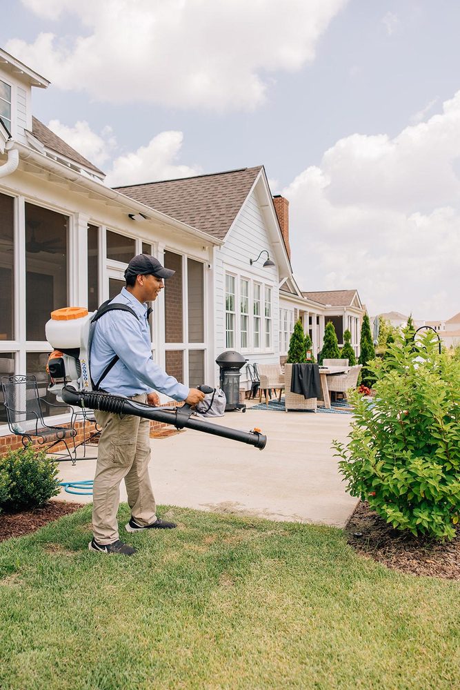 SCOUT PEST CONTROL - Updated September 2025 - 58 Photos - 25150 Will ...