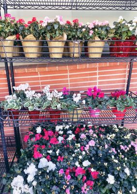 CAL-MART SUPERMARKET - Updated August 2025 - 124 Photos & 284 Reviews ...