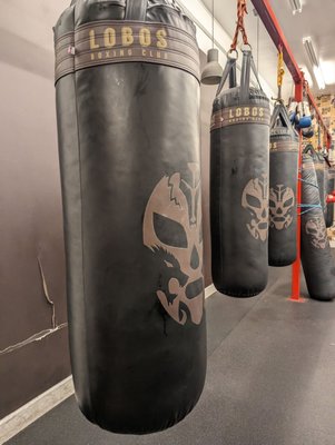 LOBOS BOXING CLUB - Updated December 2025 - 50 Photos & 27 Reviews ...