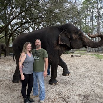 TWO TAILS RANCH - Updated December 2025 - 125 Photos & 94 Reviews ...