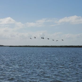 TURTLE MOUND RIVER TOURS - Updated March 2025 - 89 Photos & 62 Reviews ...