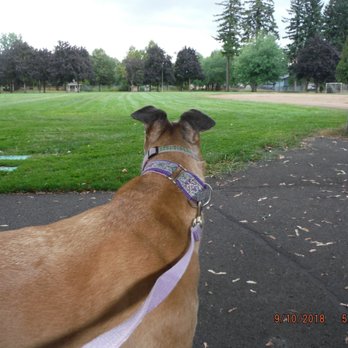 RED SUNSET PARK - Updated October 2025 - 42 Photos - 2403 NE Red Sunset ...