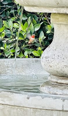 RESEDA DISCOUNT POTTERY & FOUNTAINS - Updated June 2024 - 306 Photos ...