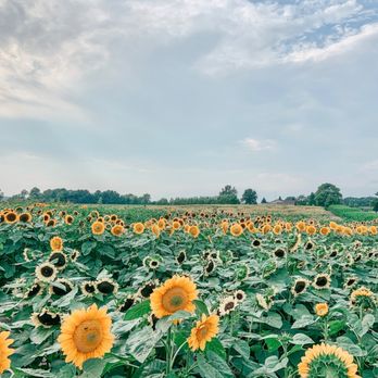 EXPLORATION ACRES - Updated October 2025 - 83 Photos & 34 Reviews ...