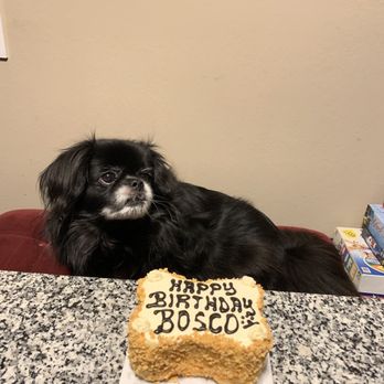 LE MARCEL BAKERY FOR DOGS - 251 Photos & 155 Reviews - 2066 Union St ...