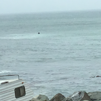 POINT ARENA PIER - Updated September 2025 - 49 Photos & 11 Reviews ...