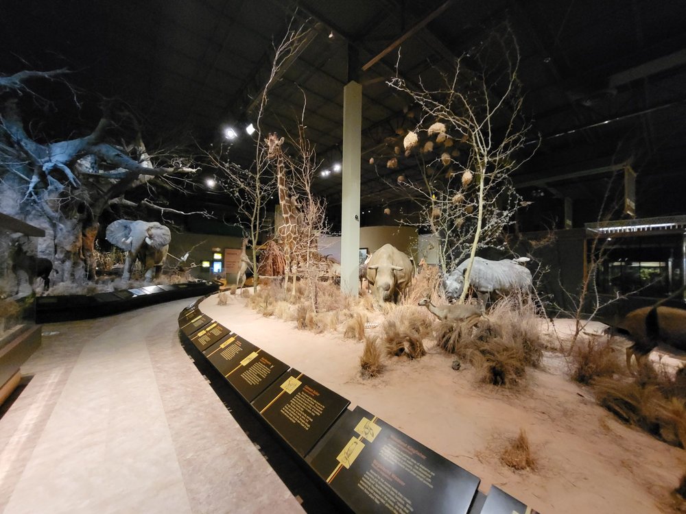 ANNISTON MUSEUM OF NATURAL HISTORY - 30 Photos - 800 Museum Dr ...