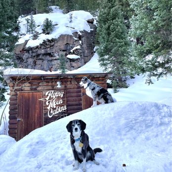 THE FLYING MOON CABINS - Updated December 2025 - 74 Photos & 31 Reviews ...