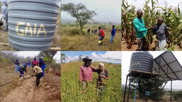 THE GAIA MOVEMENT - USA - Updated May 2026 - 37 Photos & 10 Reviews ...