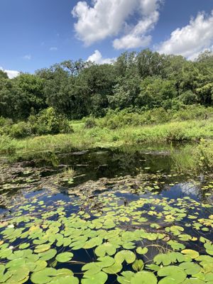LONG KEY NATURAL AREA & NATURE CENTER - Updated February 2025 - 293 ...