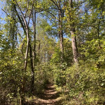 MINT SPRINGS VALLEY PARK - Updated October 2025 - 17 Photos - 6659 Mint ...