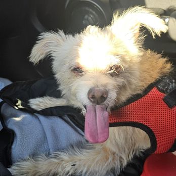 LOMA LINDA ANIMAL HOSPITAL - Updated April 2025 - 240 Photos & 814 ...