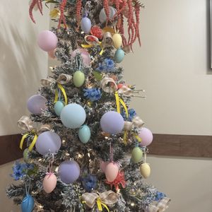 TRIANGLE ARTHRITIS & RHEUMATOLOGY ASSOCIATES - Updated January 2026 ...