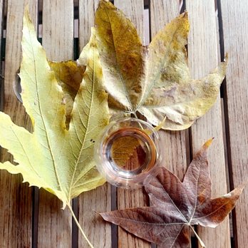 DA RANCH - Updated May 2025 - 288 Photos & 129 Reviews - 1901 N Dancing ...