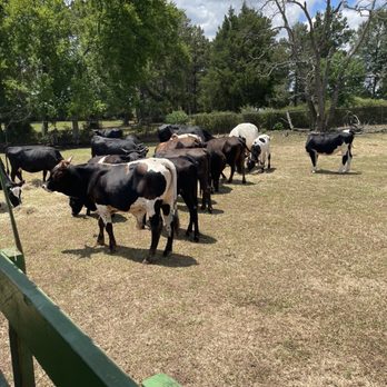 OIL RANCH - Updated March 2025 - 97 Photos & 54 Reviews - 23501 ...