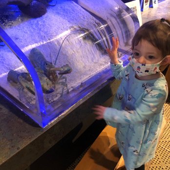 SEACOAST SCIENCE CENTER - 38 Photos & 40 Reviews - 570 Ocean Blvd, Rye ...