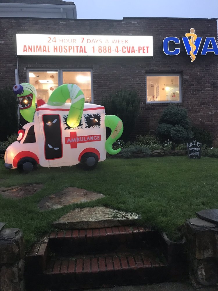 FRIENDLY PAWS MOBILE GROOMING - Updated July 2025 - 11 Reviews - Elmont ...