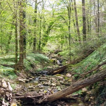 LAKE ROLAND - Updated December 2025 - 143 Photos & 52 Reviews - 1000 ...