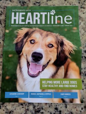 SACRAMENTO SPCA - Updated February 2025 - 181 Photos & 277 Reviews ...
