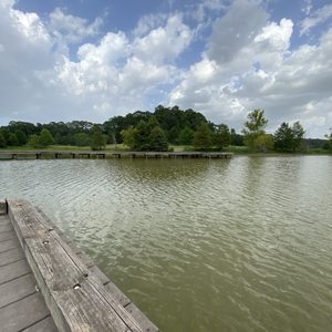 DOSS PARK - Updated December 2025 - 12 Photos - 2500 Frick Rd, Houston ...