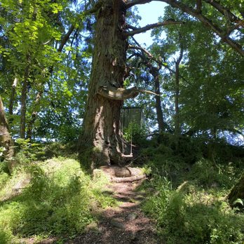 KEIZER RAPIDS PARK - Updated September 2025 - 40 Photos & 29 Reviews ...