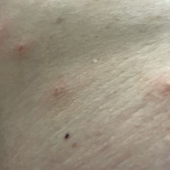 MURPHYS INN MOTEL - Updated August 2024 - 54 Photos & 69 Reviews - 76 ...