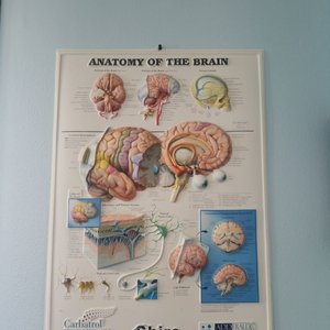 IAN PURCELL ,MD PHD - Updated February 2025 - 92 Reviews - 7625 Mesa ...