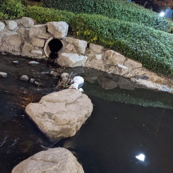 RIVERWALK PARKWAY - Updated October 2025 - 102 Photos & 27 Reviews ...