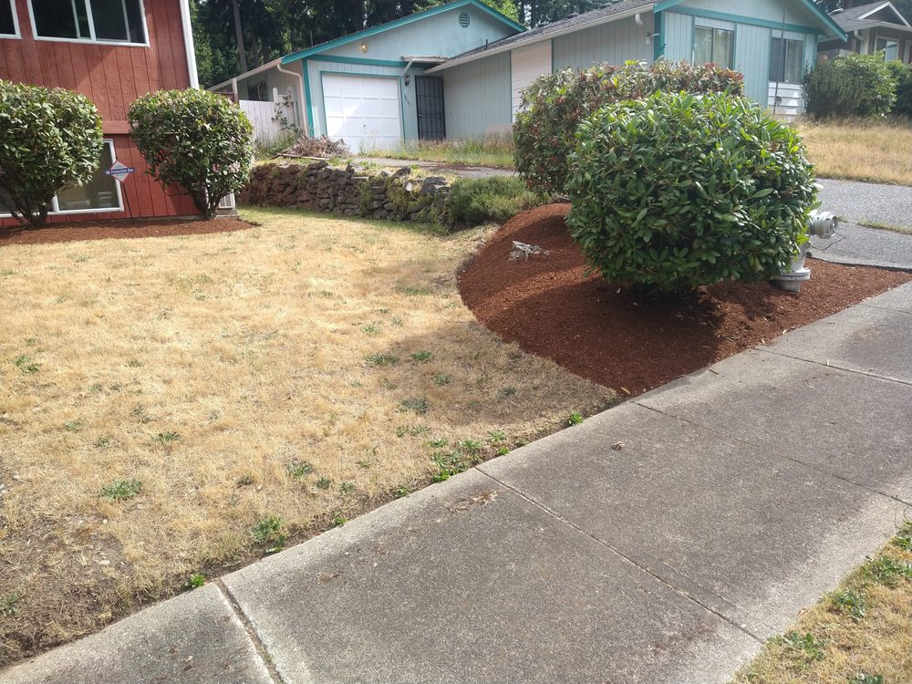 AMERICAN LANDSCAPING - Updated June 2026 - Tacoma, Washington ...