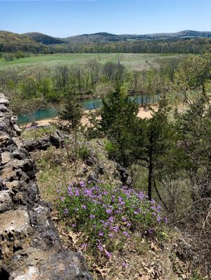 BLUE SPRINGS RANCH - 36 Photos & 39 Reviews - 1246 Blue Springs Rd ...