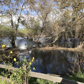 MADRONA MARSH PRESERVE AND NATURE CENTER - Updated September 2024 - 330 ...