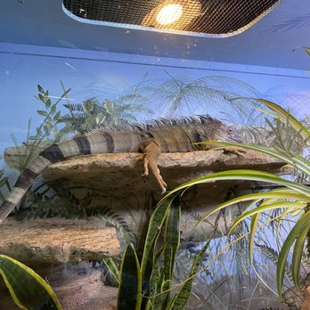 PHILLIPS PARK ZOO - Updated September 2024 - 233 Photos & 99 Reviews ...