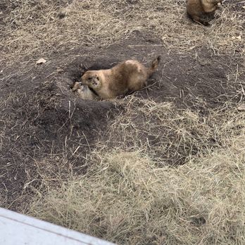 RED RIVER ZOO - Updated May 2025 - 183 Photos & 38 Reviews - 4255 23rd ...