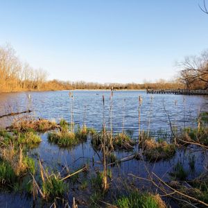 RUSS NATURE PRESERVE - 16 Photos - 2380 Kemp Rd, Beavercreek, Ohio ...